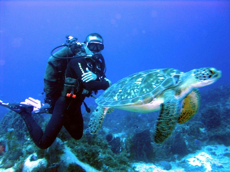 Comment obtenir son niveau 3 en plongée